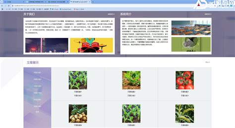 基于springbootvue的助农惠农服务平台ad源码网 项目源码学习资料网