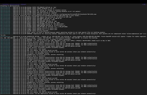 Tls Handshake Failed Restart Loop · Issue 177 · Dyonrdocker
