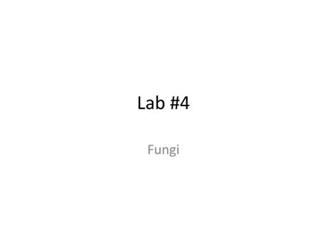 Ppt Lab 4 Powerpoint Presentation Free Download Id2359539