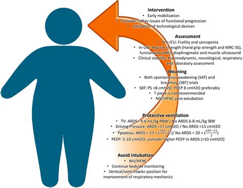 frontiers physical and respiratory therapy in the critically ill patient with obesity a