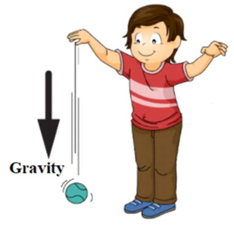Wbbse Notes For Class 6 General Science And Environment Chapter 6
