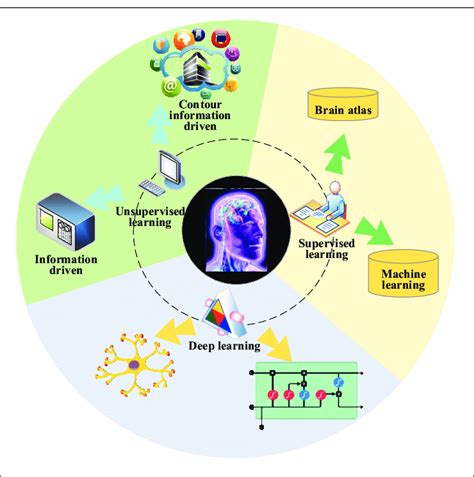schematic diagram of brain image segmentation fusion diagnosis