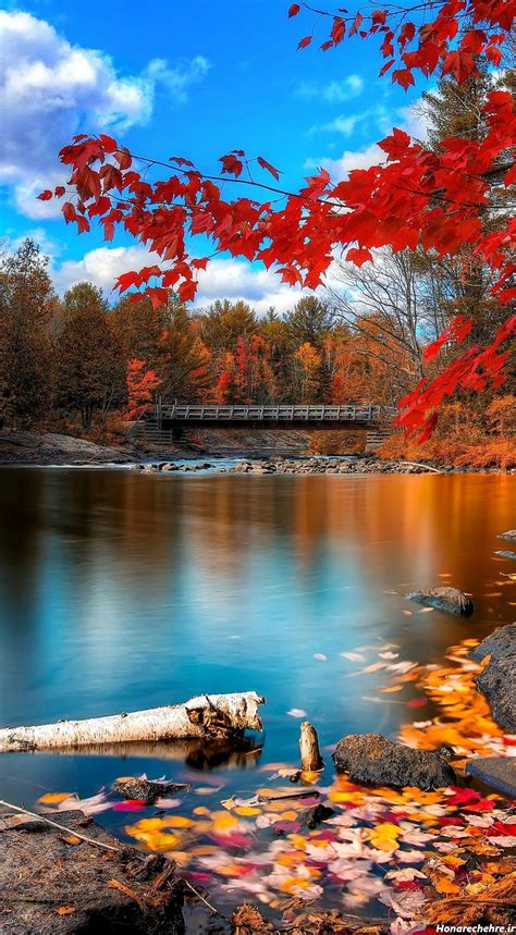 23 عکس های بی نظیر از تصویر زمینه طبیعت 4k که روح شما را تازه می کند