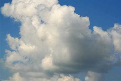 Cumulus bourgeonnant 4 – Exworld