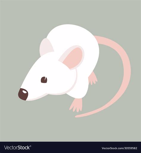 Cartoon White Rat Mouse Flat Style Royalty Free Vector Image