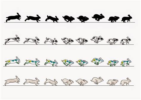pin by daniela cruz on mundo running illustration animated rabbit