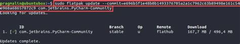 How To Install Flatpak Applications From Flathub PragmaticLinux