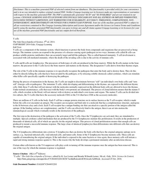 t cells pdf t cell thymus