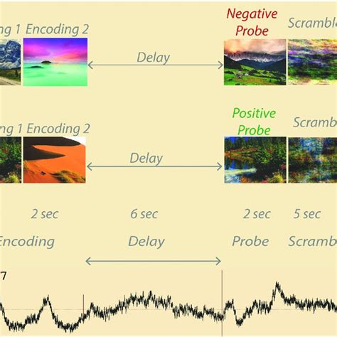 Example Scene Working Memory Trials In A Load 2 Working Memory Trial Download Scientific