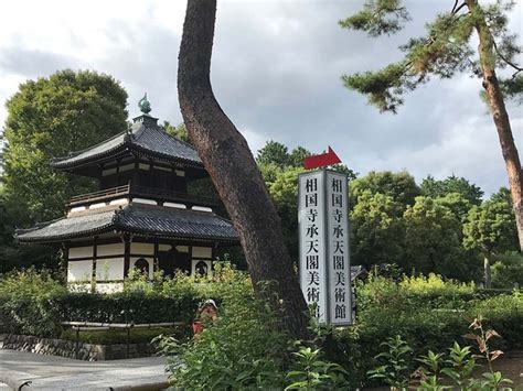 日本办茶道展 这个不受唐朝人待见的茶碗竟成了国宝手机新浪网