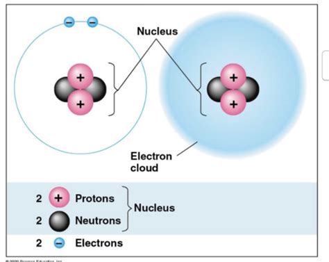 Biological Molecules Flashcards Quizlet