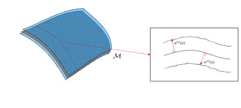Data Are Conceptualised As A Two Dimensional Vector Field U On An
