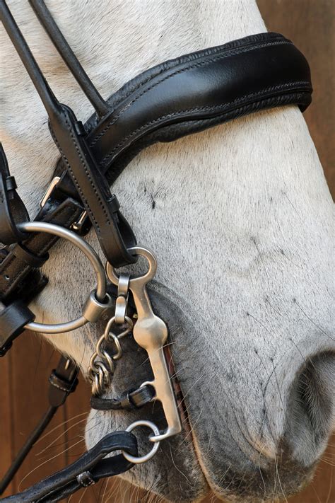 Naked Non Patent Rolled Double Bridle Belle Equestrian