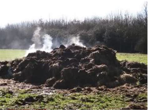 Scp 100 J 리브레 위키