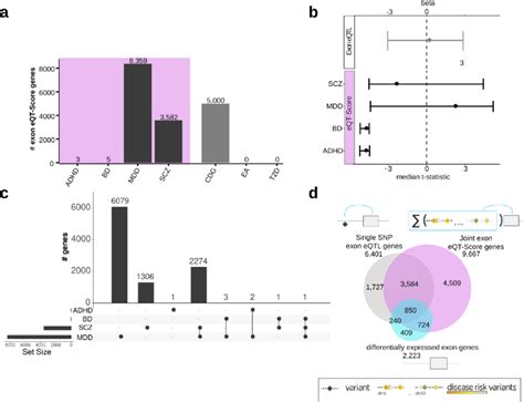 multi snp effects and their influence on cortical expression a bar