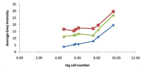 Staphylococcus Aureus Diagram