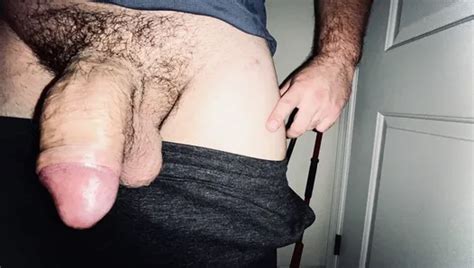 Penis Anatomy Xhamster