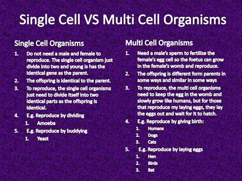 Single Cell Vs Multi Cell Organisms