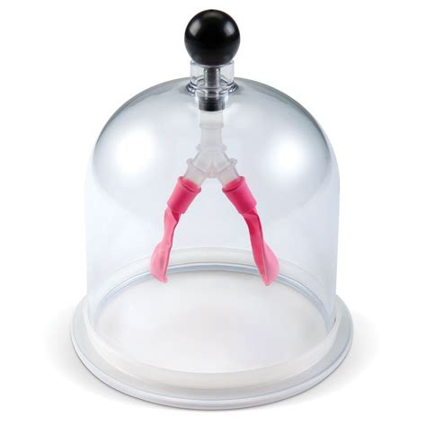 Lung Function Model Carolina Biological Supply