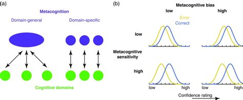 Human Metacognition Across Domains Insights From Individual