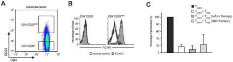 Functional Analysis Of Cd4 Cd25 High Foxp T Reg Cells A Cd4 Download Scientific