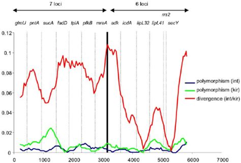 Sliding Window Analysis Of Concatenated Sequence Of All 13 Loci