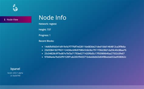 Create A Plugin Node Info View BPanel