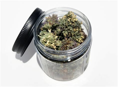 Nip Buds Catnip Flower Buds Kitty Kush