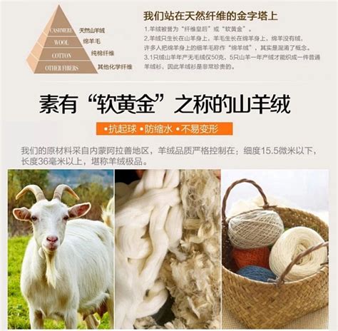 山羊绒羊毛
