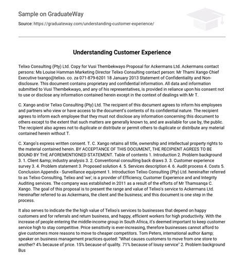 ⇉understanding Customer Experience Essay Example Graduateway