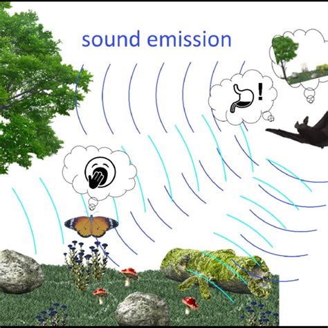 bat using echolocation to find prey in the form of a species of