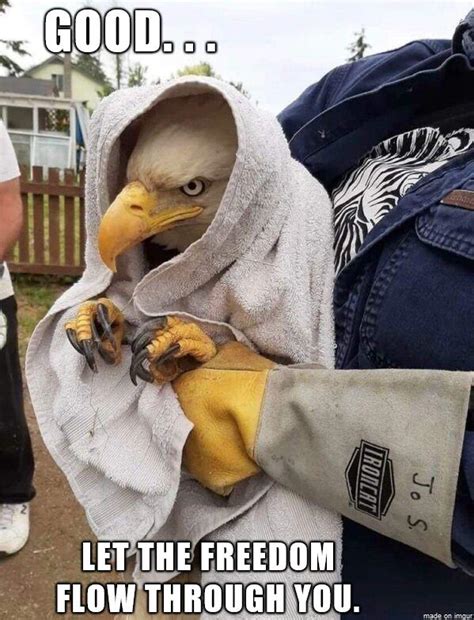 Freedom Do You Speak It Eagle Meme