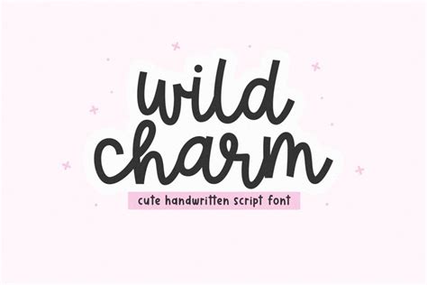 Wild Charm Cute Script Font