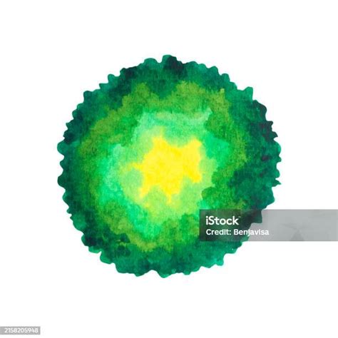 녹색 나무 잎 정원 부시 평면도 식물 자연 공원 조경 건축가 그래픽 건축 계획 개념 색깔 스케치 미술 디자인 삽화 수채화 그림 화이트 외딴 배경 개념에 대한 스톡 벡터 아트