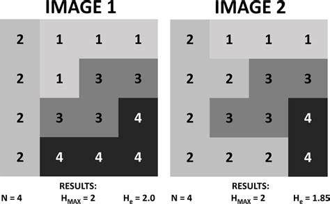 Maximum Entropy H Max And Entropy H E Results For Hypothetical