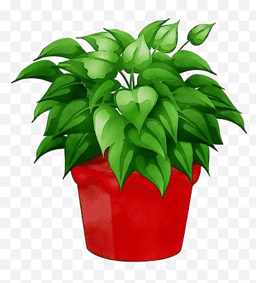 Anthurium Png Images Klipartz