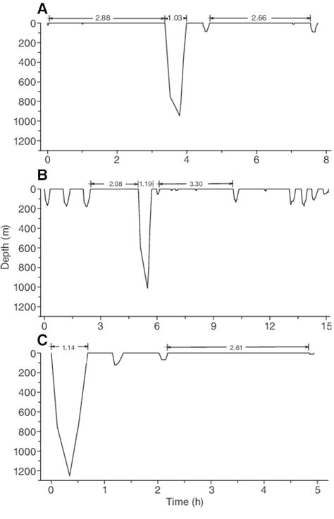 Satellite Relay Data Logger Srdl Dive Profiles Showing Deep Diving