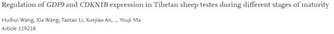 Bottom Of The Barrel Batdolphin Based Sparse Fuzzy Algorithm For