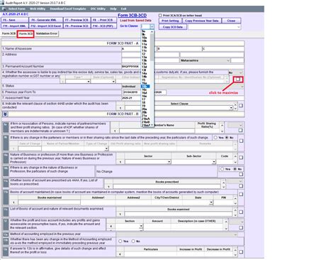 Audit Report Taxpro Help