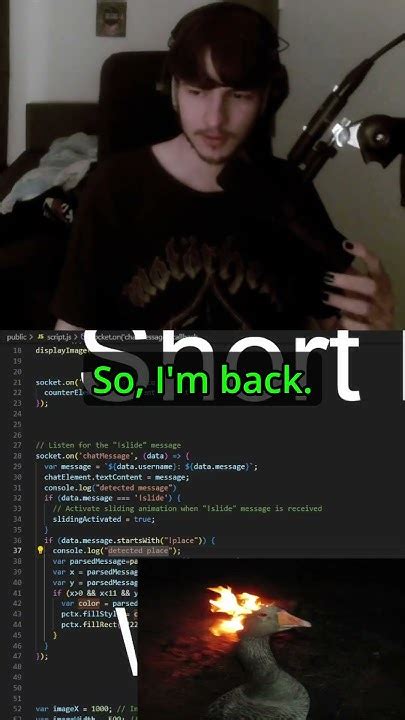 F To That Duck Programming Javascript Streamer Coding Twitch