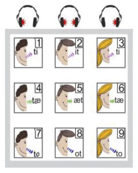 Graphical Representation Of The Auditory Stimuli Set Composed Of Spoken