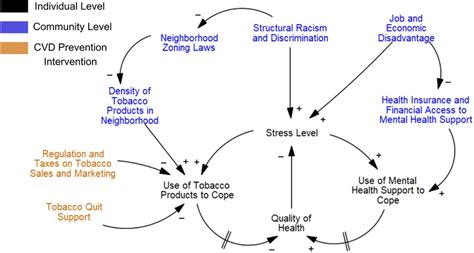 Causal Loop Diagram Example On Health Disparities In Tobacco Use In The Download Scientific