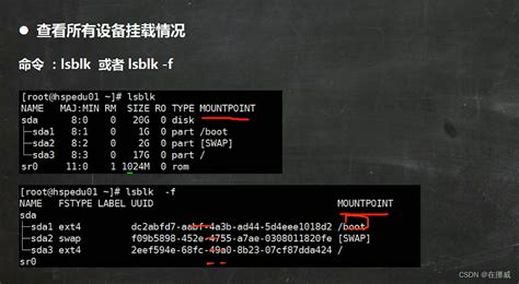 linux分区 csdn博客