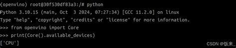 ubuntu系统安装openvino™工具包 ubuntu安装openvino csdn博客