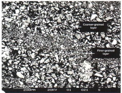 Cs Sem Scanning Electron Microscope Photomicrograph Of