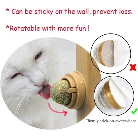 Natural Catnip Cats Mint Leaf Cat Catnip Treat Balls Edible Treat