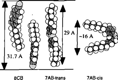 Figure 1 From Photocontrol Of Smectic Semantic Scholar
