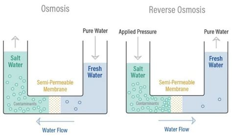 Beginners Guide To Reverse Osmosis How Does It Work