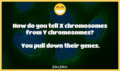 110 Genes Jokes And Funny Puns Jokojokes