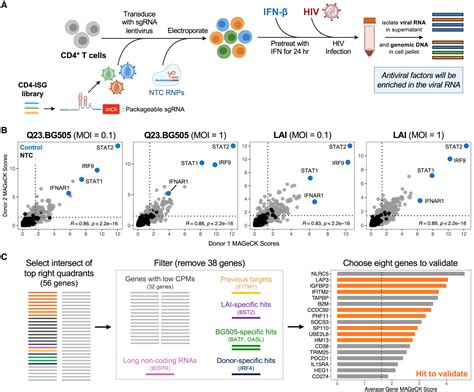Several Cell Intrinsic Effectors Drive Type I Interferon Mediated Restriction Of Hiv 1 In